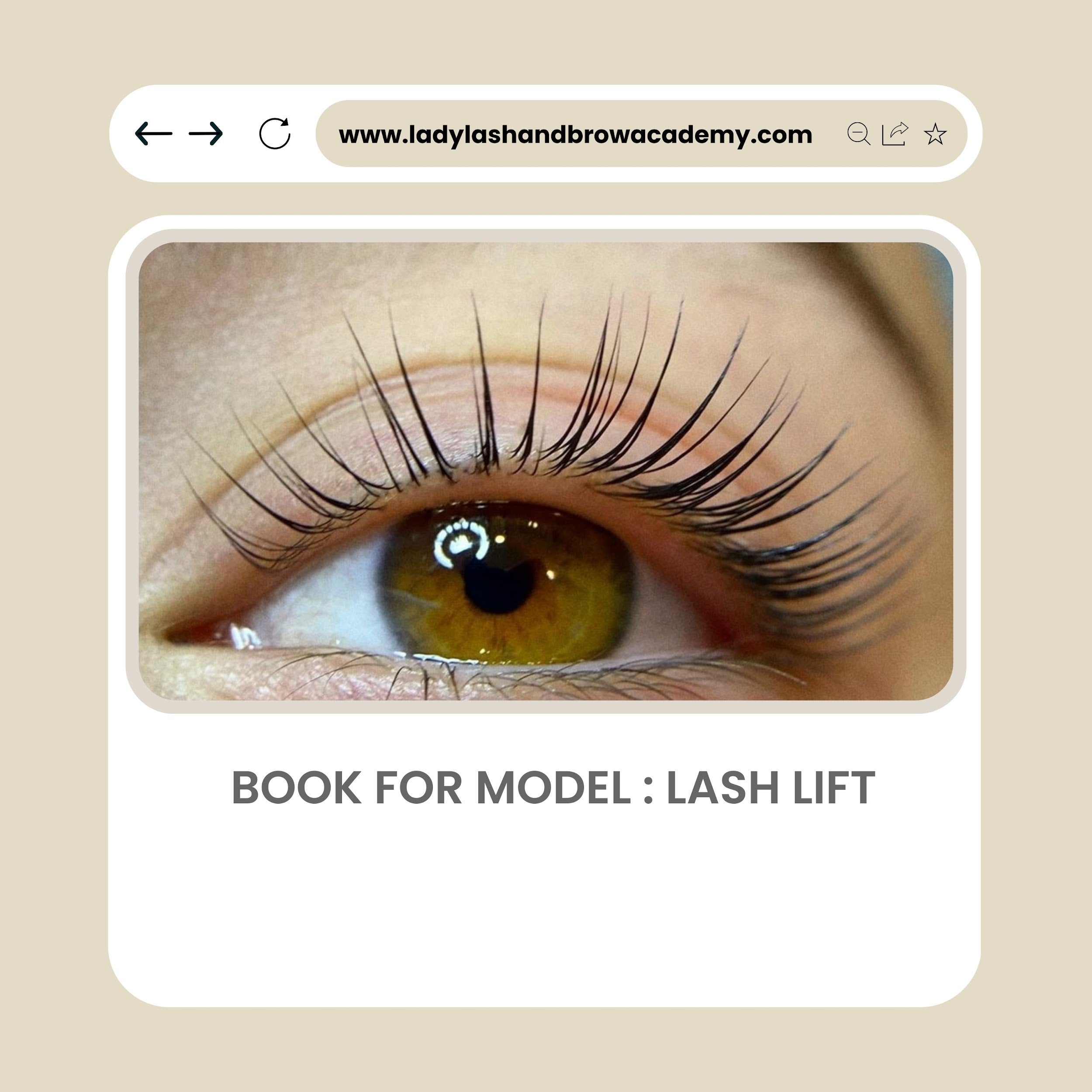 Model For Lash Lift – Lady Lash And Brow Academy